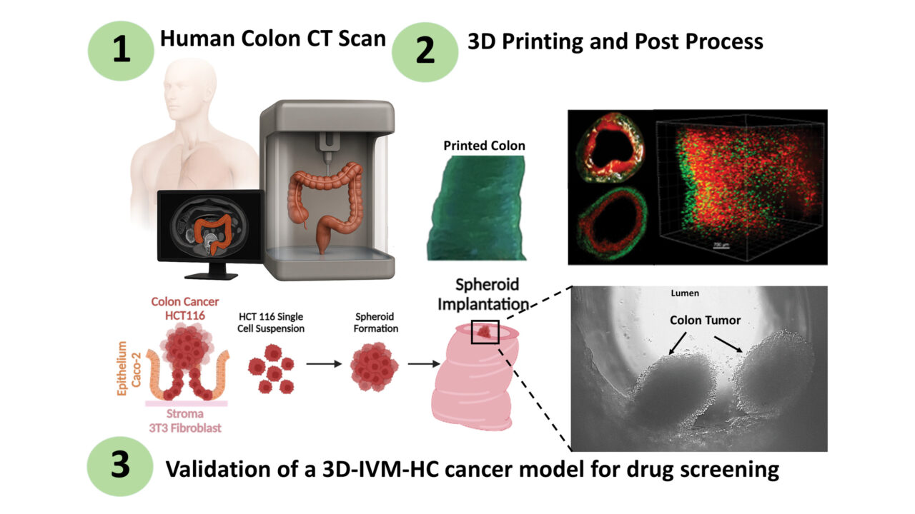 Engineering a Cancer Treatment Game Changer | New York Tech