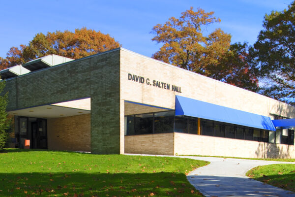School of Management | New York Tech