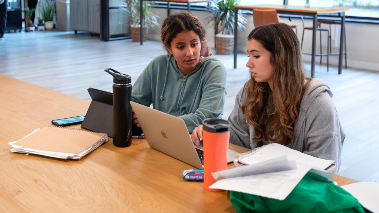 Business Minor for Non-Business Majors | New York Tech