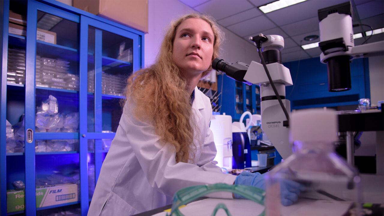 Research | New York Tech